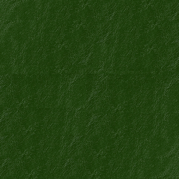 Home Wrestling Mats are Martial Arts Matting by American Floor Mats